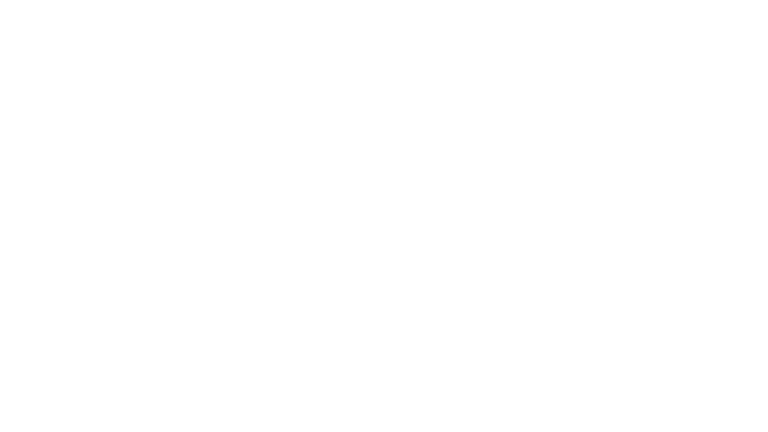 Meet The Team - The Spiggle Law Firm